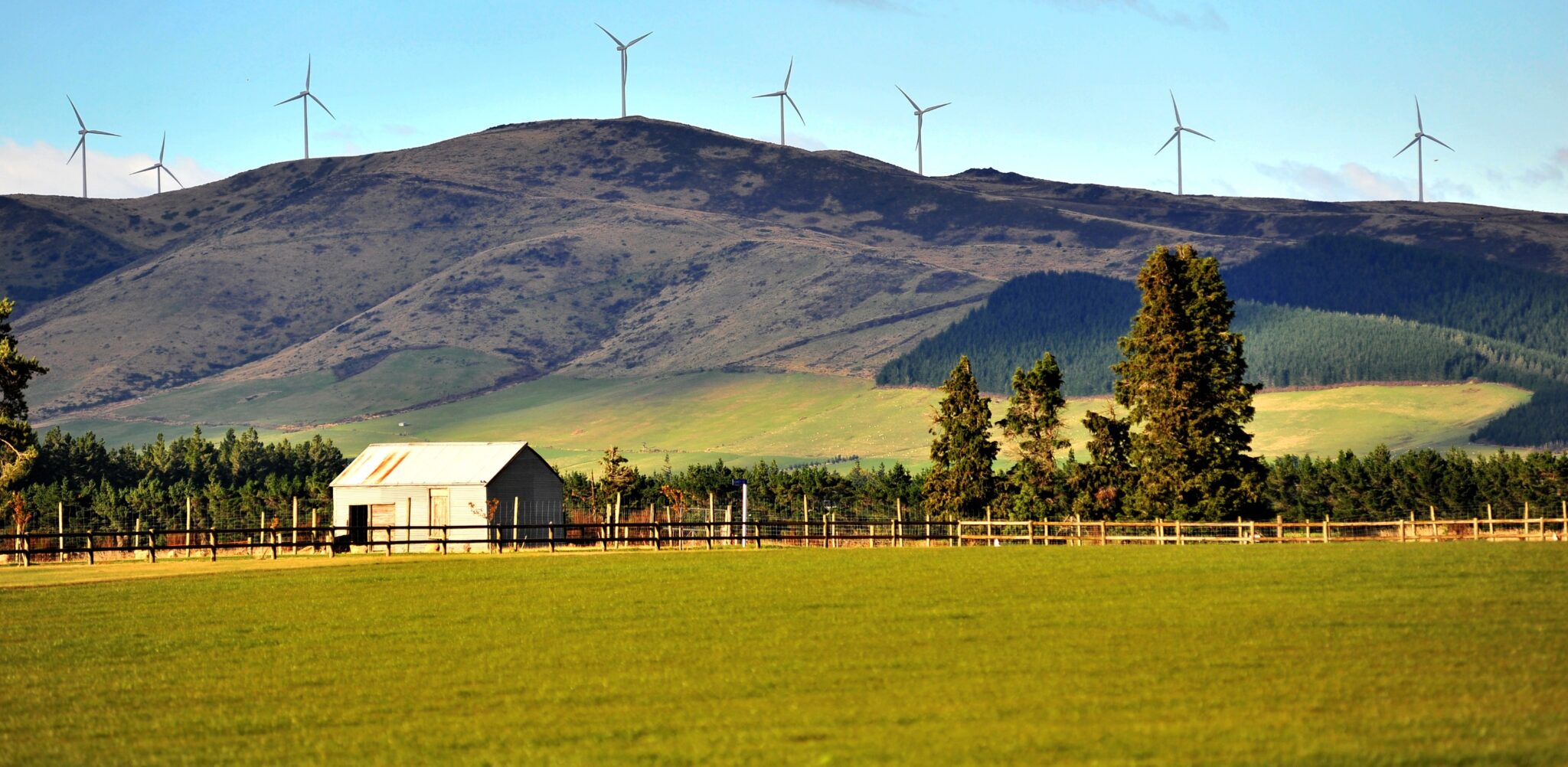 BraveTrace | Certified Renewable Energy | New Zealand