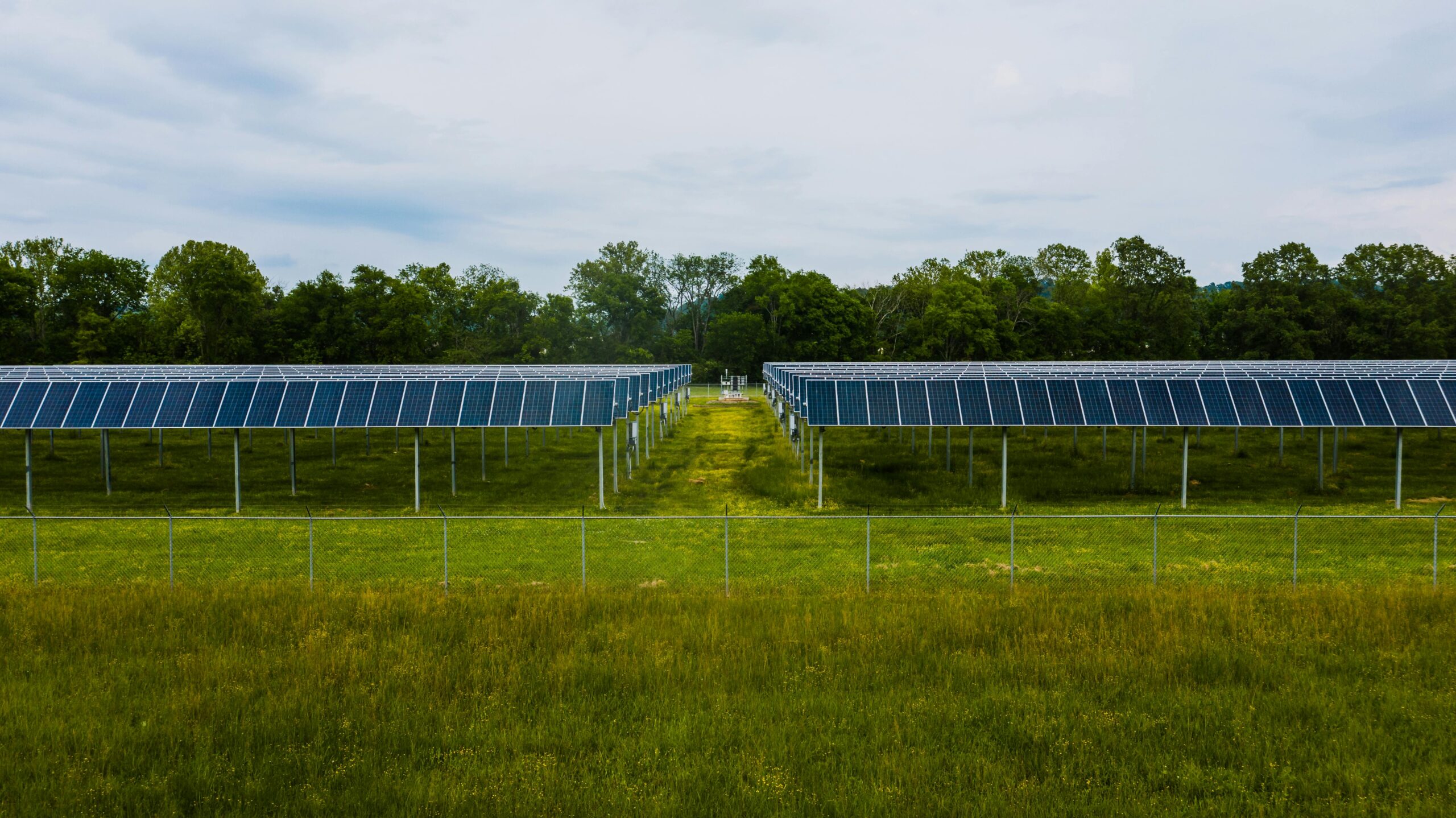 Strive now active as a Participant in the New Zealand energy ...