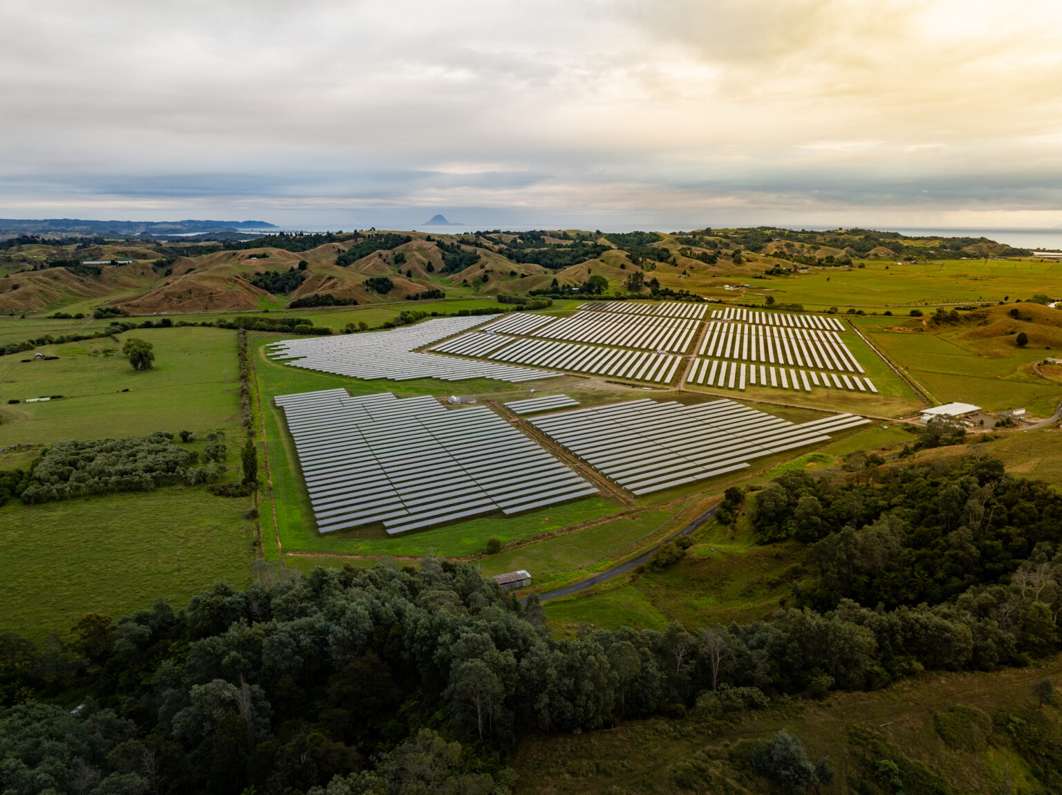 BraveTrace | Certified Renewable Energy | New Zealand